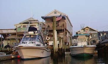 Strathmere Houses page 2 - Bay Side